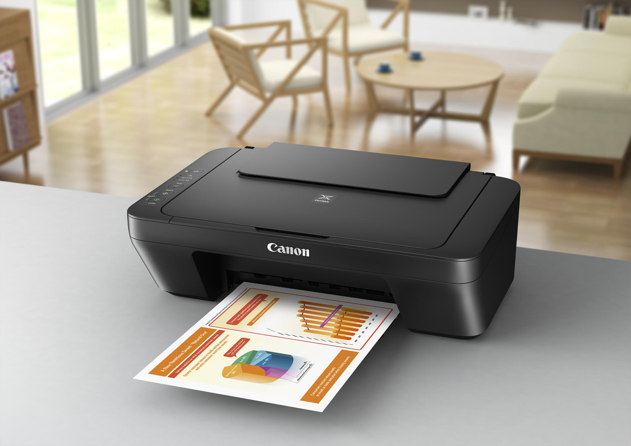 Canon Pixma MG2550S printer - 0727C006