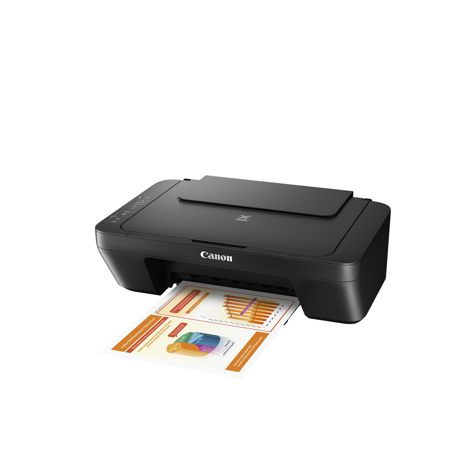 Canon Pixma MG2550S printer - 0727C006